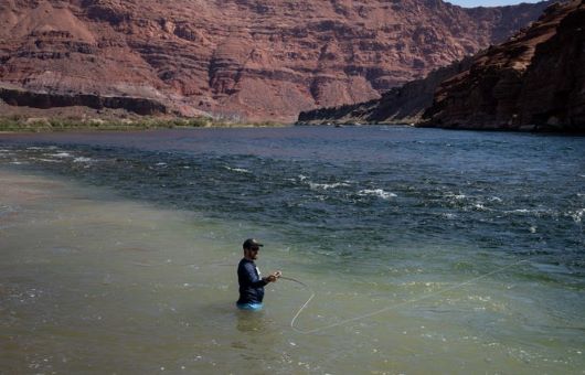 Park Service to poison bass upstream of Grand Canyon to save native ...