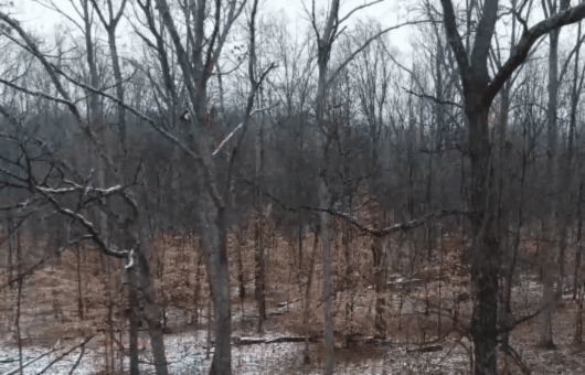 Camping is causing serious harm in Hoosier National Forest. Some rules ...